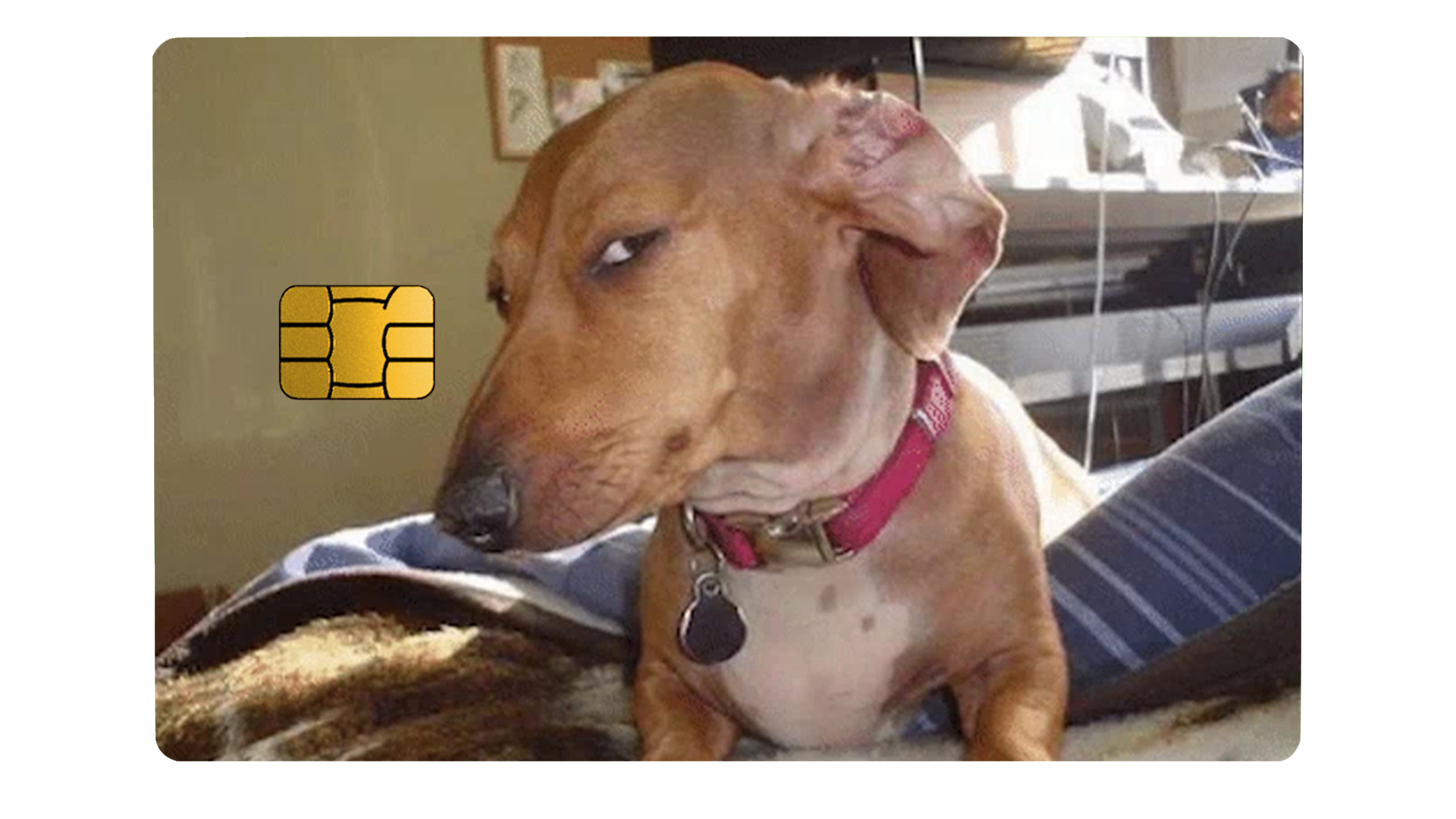 Pinpas Sticker "Bombastic Side Eye" | DODO Covers